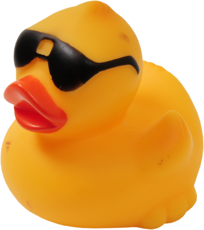 Derby Duck – Photo 01 LEFT – Children's Museum of Illinois